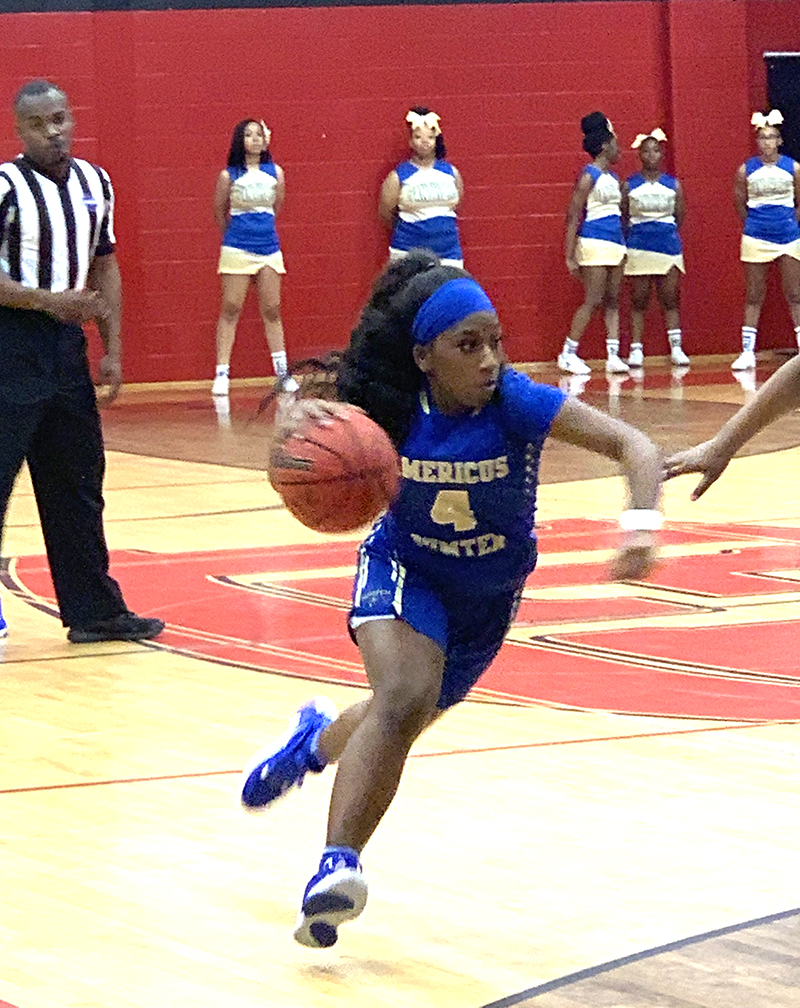 First and second-half runs propel Lady Panthers to win over Lee County ...