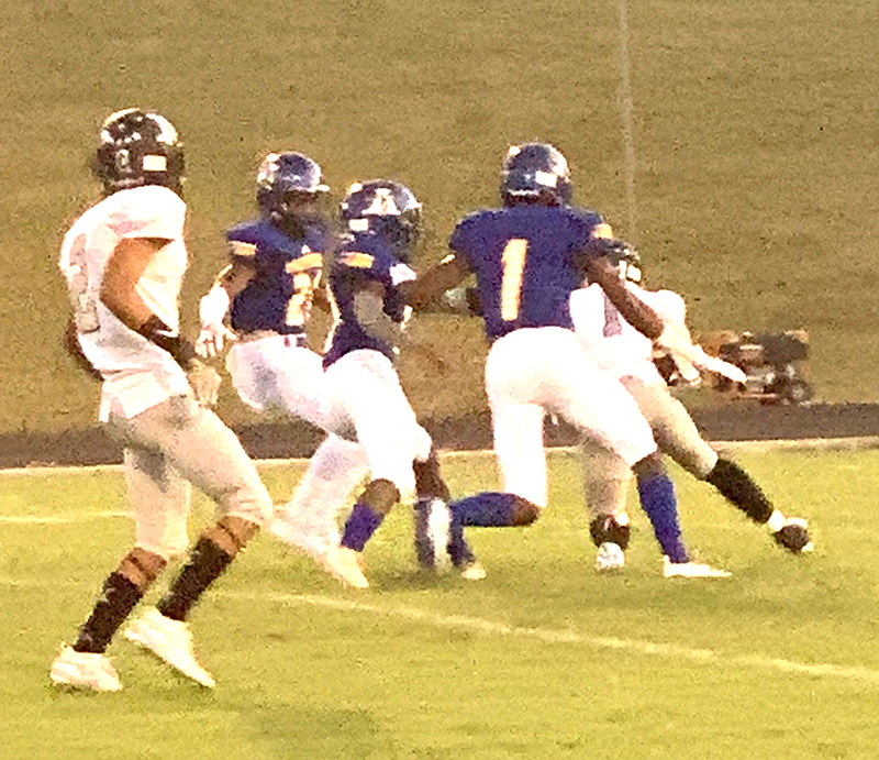 Numerous Americus-Sumter Panthers earn All-Region honors | Americus ...