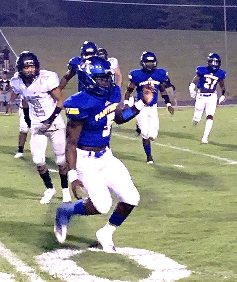 Numerous Americus-Sumter Panthers earn All-Region honors | Americus ...