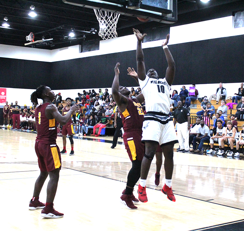 Four Wildcats score in double figures in win over Dooly County ...
