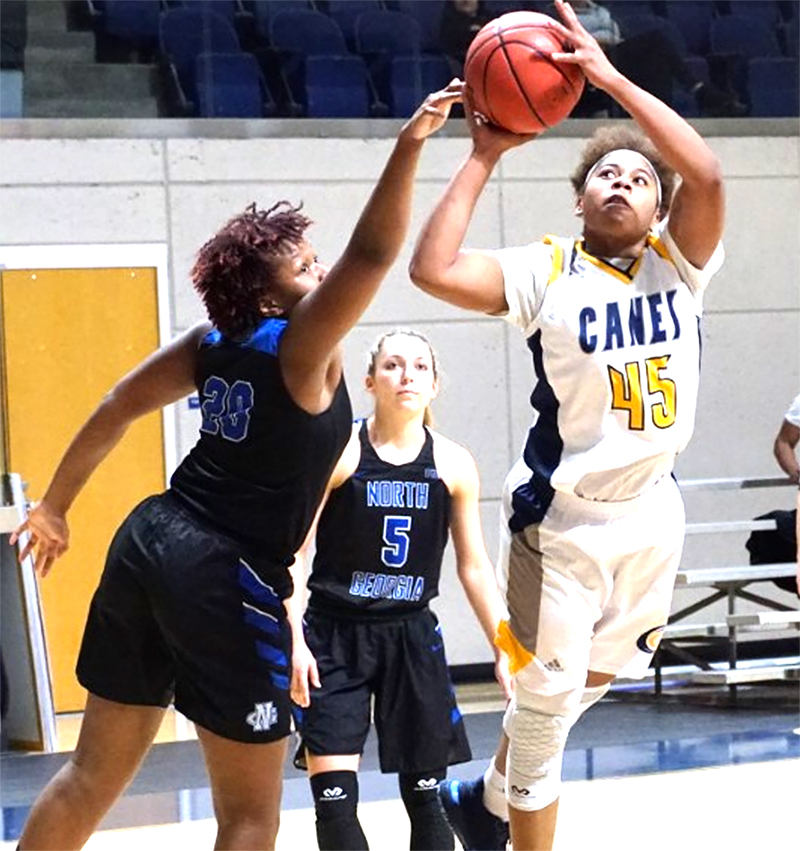 Lady Hurricanes fall to No. 10 North Georgia in hard-fought contest ...