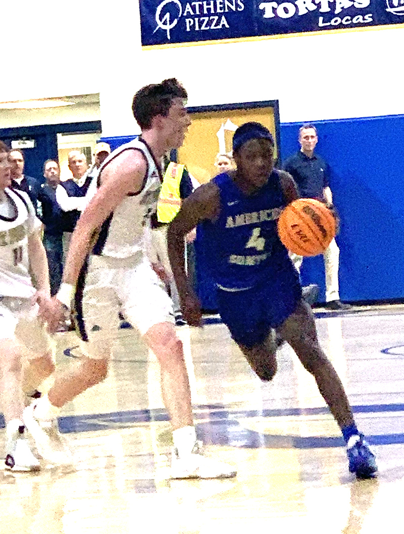 Panthers’ fantastic season ends in state quarterfinals | Americus Times ...