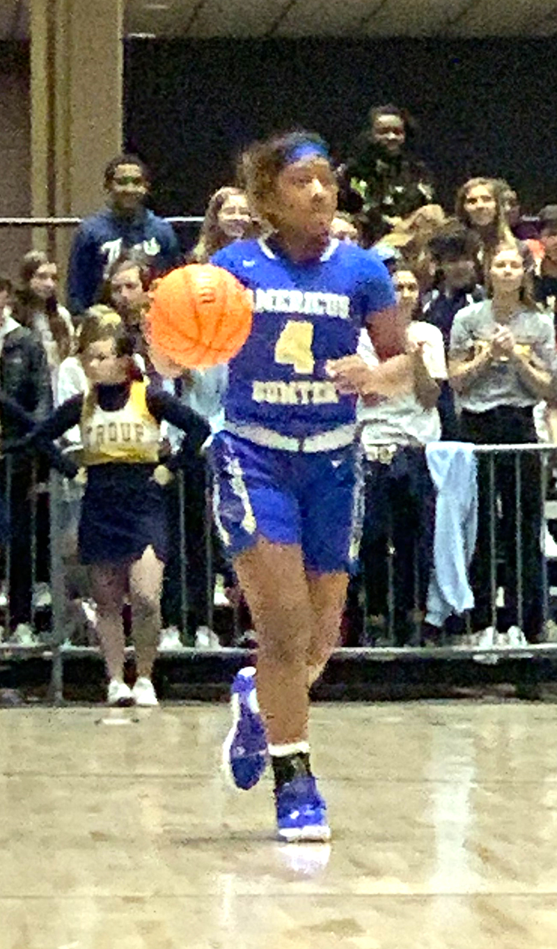 The Lady Panthers’ March to Macon and to the state championship ...