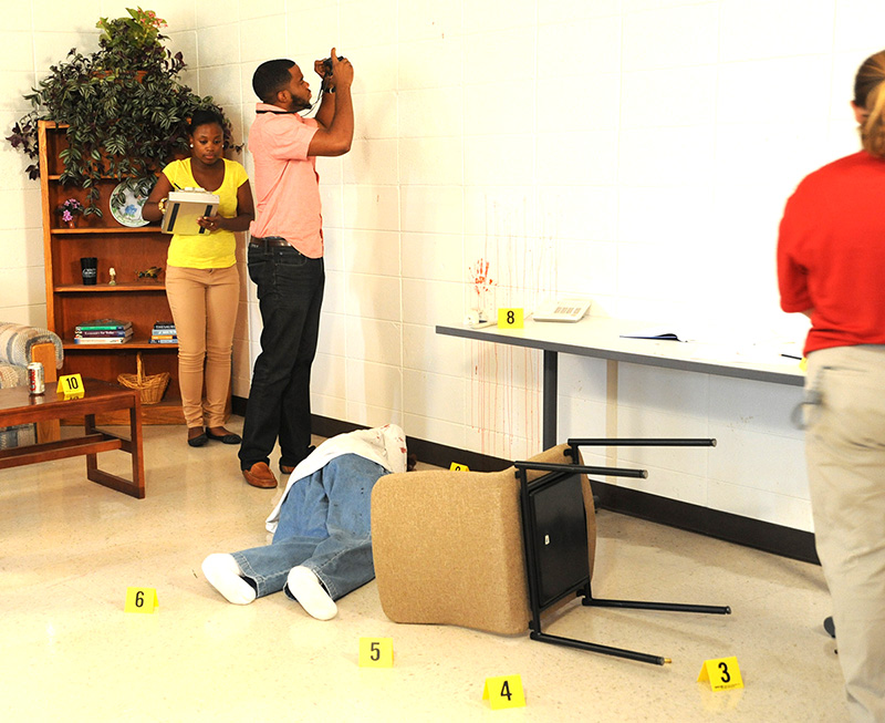 Criminal Justice Classes available online at South Georgia Tech ...