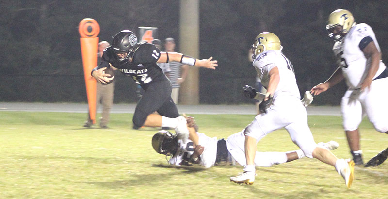 Wildcats fall to Taylor County, Long suffers season-ending injury ...