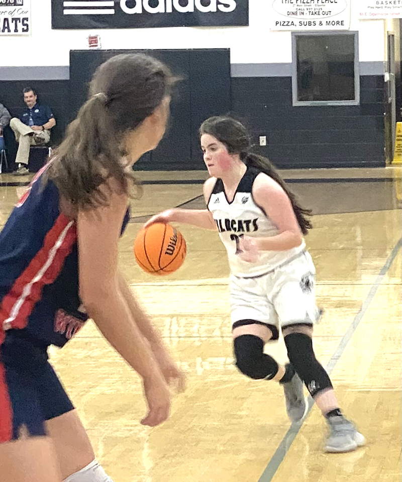 Deerfield-Windsor Lady Knights prove to be too much for Schley County ...