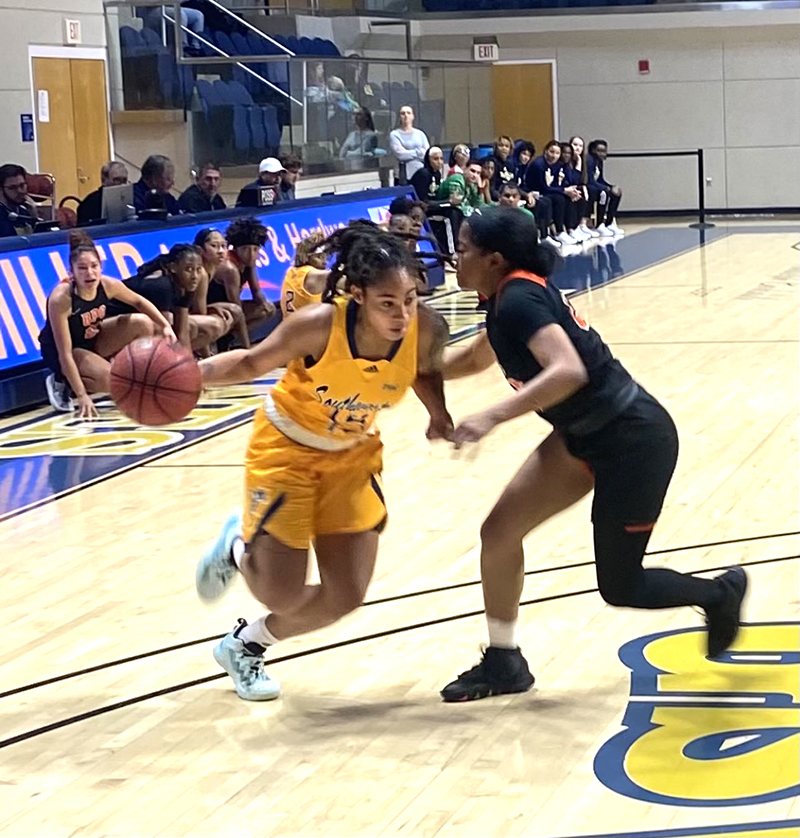 Lady Hurricanes rain down 12 three-pointers in rout of Brewton-Parker ...