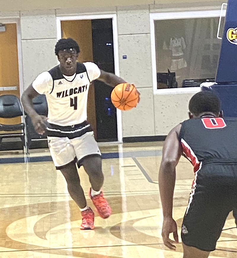 Strong third quarter leads Wildcats to victory over Taylor County ...