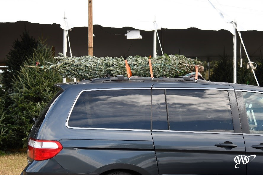 AAA releases safety tips for transporting Christmas trees | Americus ...