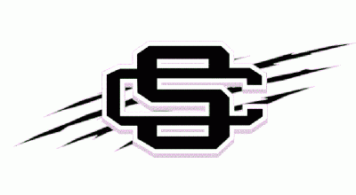 Schley County All-Stars win District Tournament - Americus Times ...