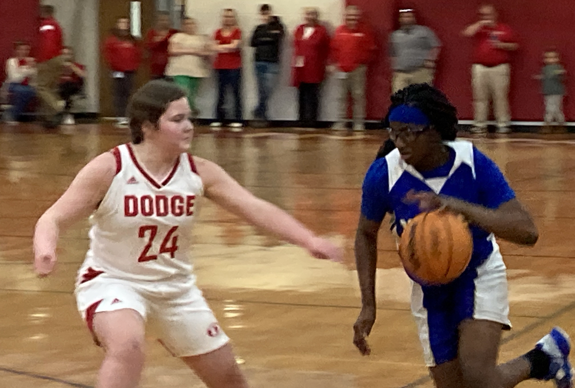 Lady Panthers lose fourth straight at Dodge County | Americus Times ...