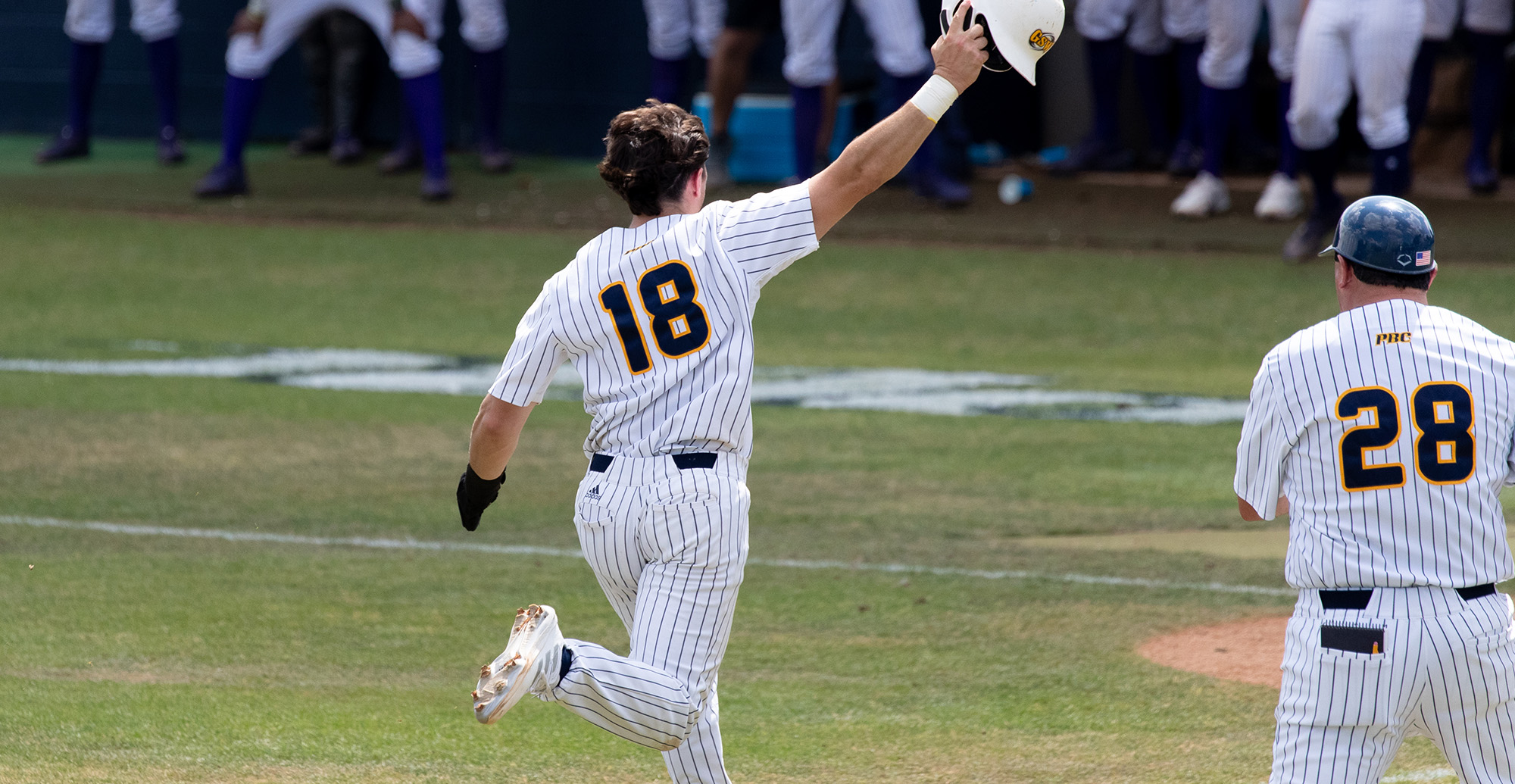 GSW Baseball Team ranked fourth in Region Poll | Americus Times-Recorder