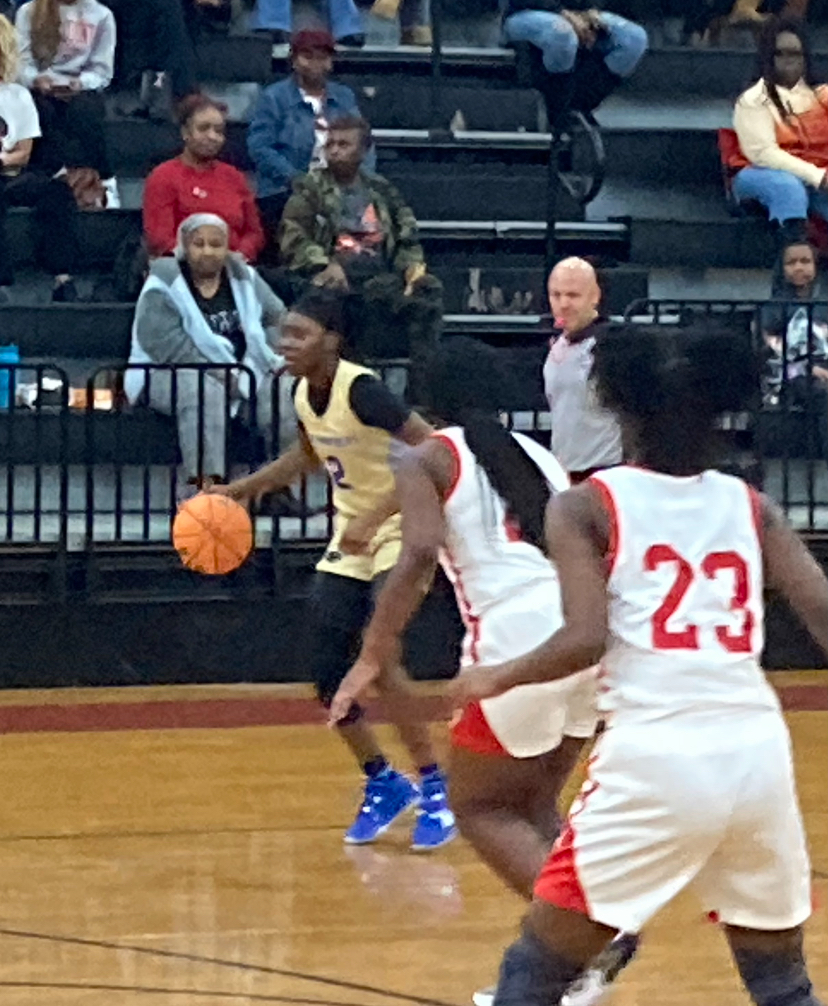 Lady Panthers overwhelm Berrien in region contest | Americus Times-Recorder