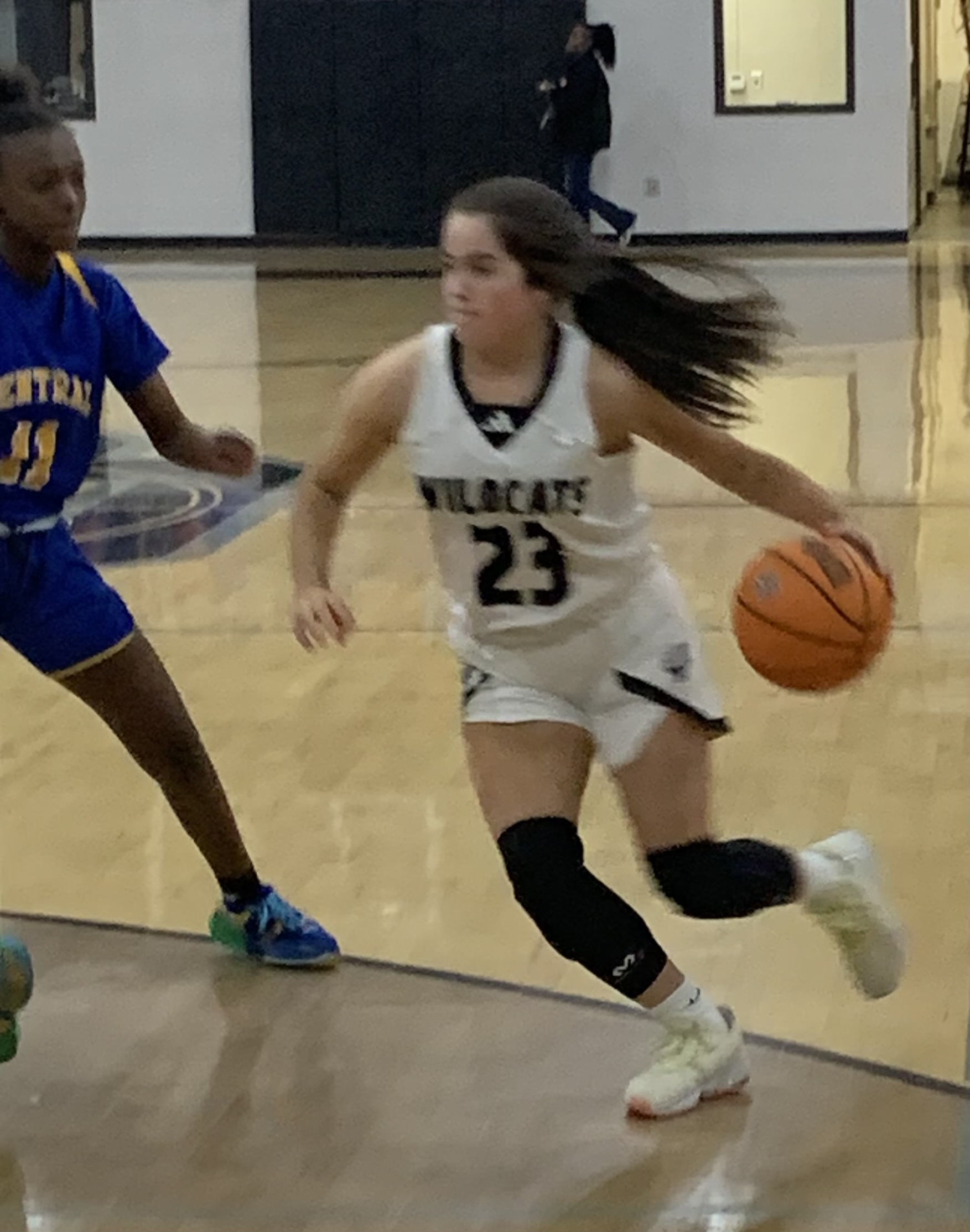 Lady Wildcats roll Central Talbotton in first round of region ...