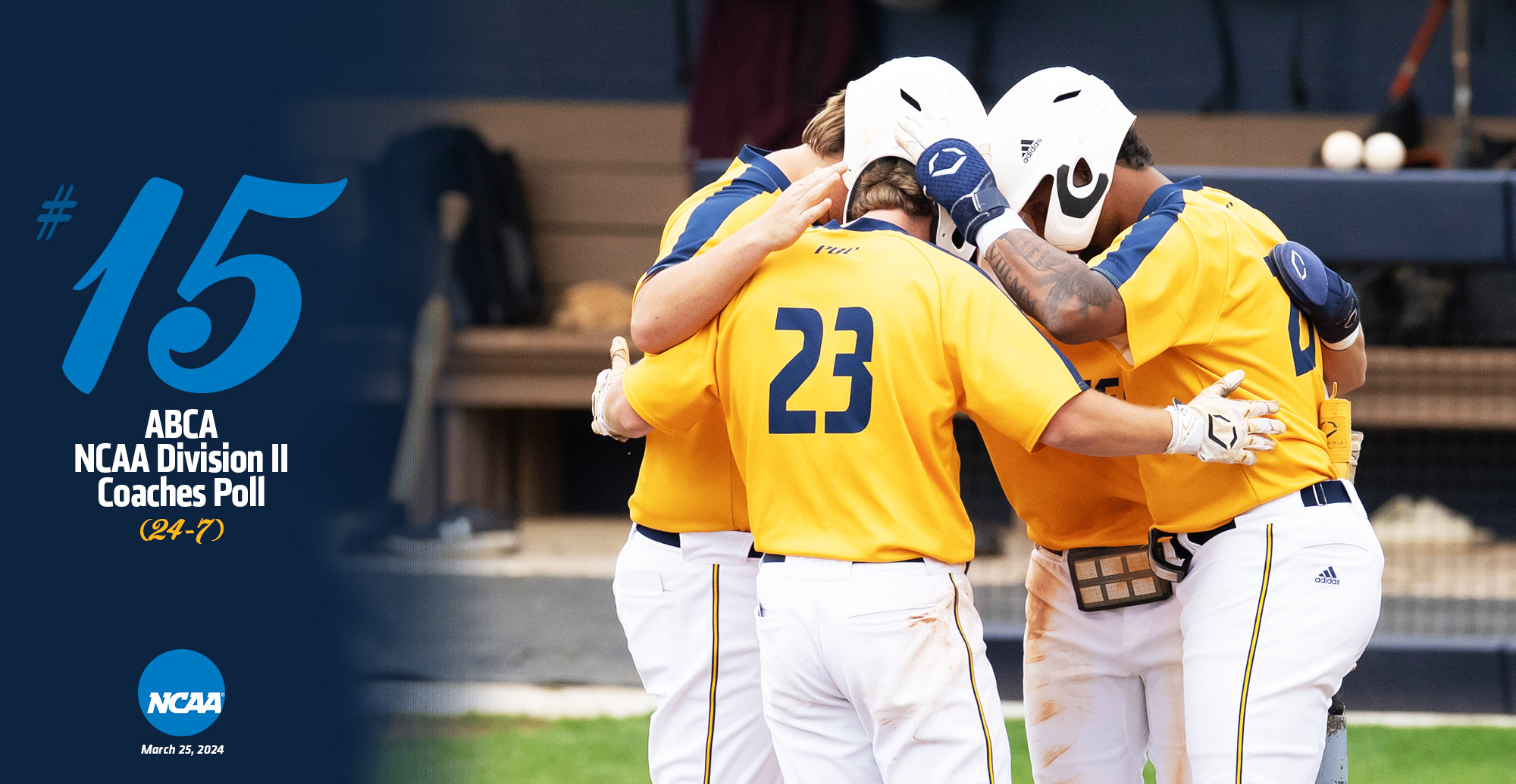 GSW Baseball Team earns highest ranking in program history | Americus ...